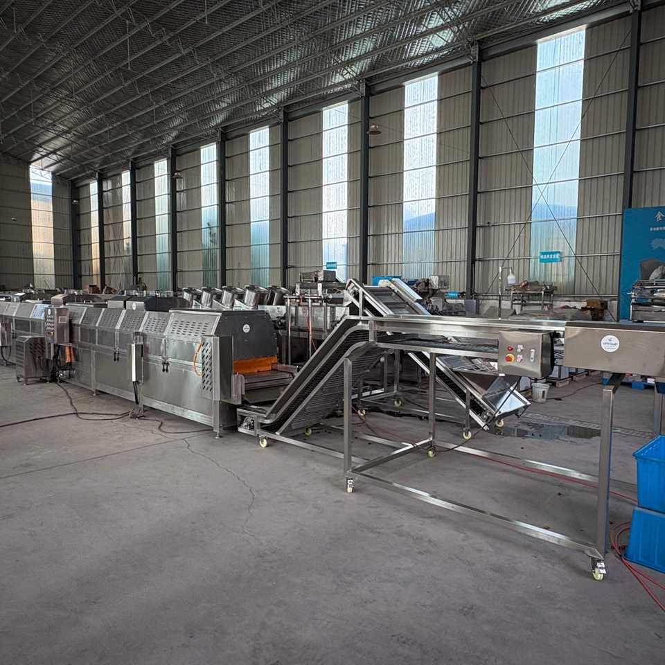 High-Efficiency Dates Processing Line Full Automatic Date Pitting ...