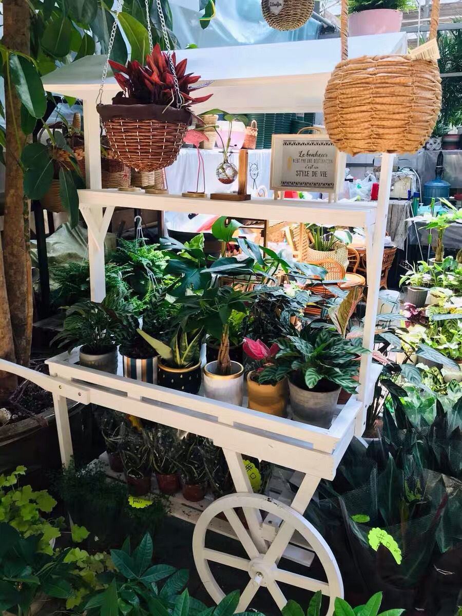 Beautiful White Wooden Trolley Wheels For Party White Trolley Event ...