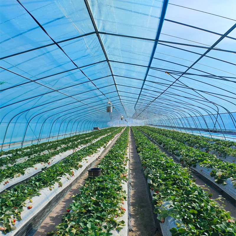 HUIKE Large Plastic Shed Greenhouse PE Film UV Resistant 200 Micron 5 ...
