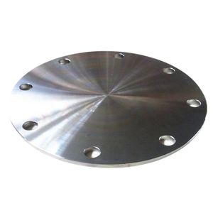 ANSI Class 3000 Flanges - Durable, High-Pressure Sealing