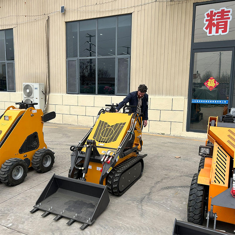 Remote Controlled Mini Skid Steer Loader-Crawler Drive High Load ...