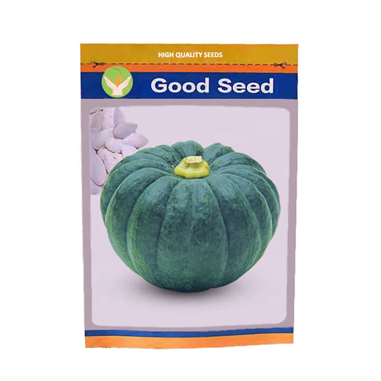 How to Choose the Best Zha Cai Seed for Your Needs: A Complete Guide