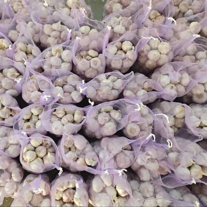 China Fresh Garlic Mesh Bag Packaging Professinal Supplier China Garlic ...