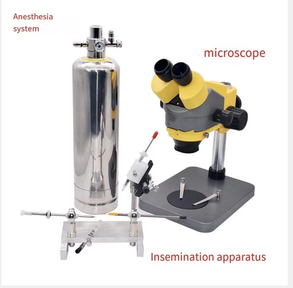 Bee Artificial Insemination Kit with Microscope | Beekeeping Equipment ...
