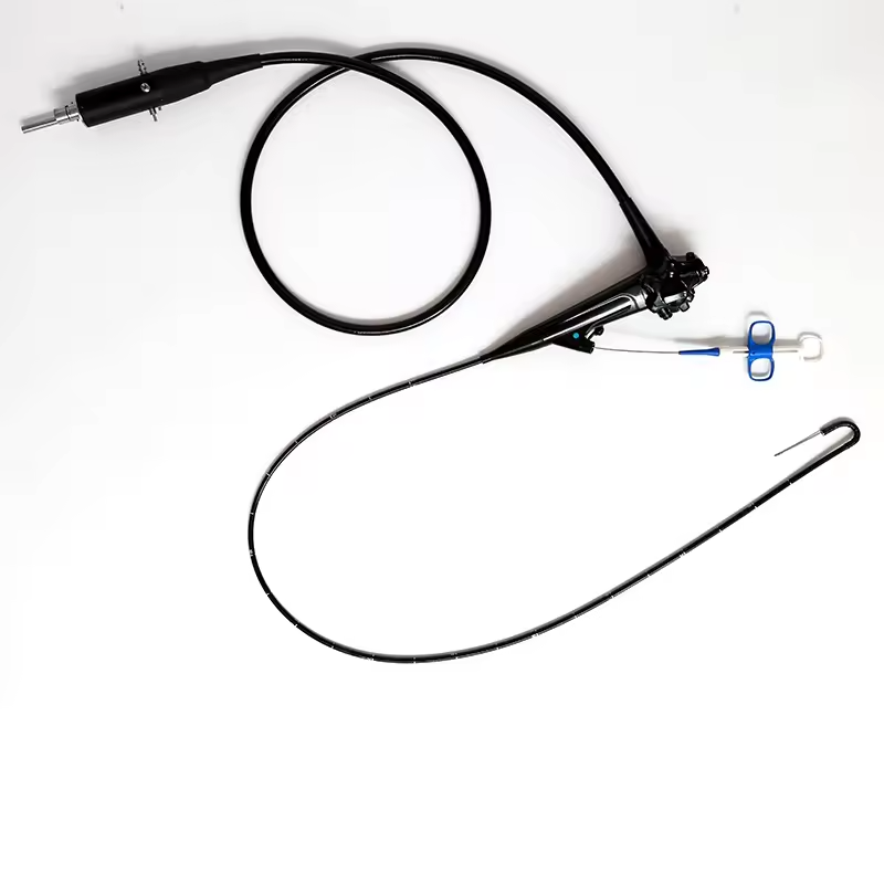 Endoscope Veterinary Flexible Endoscopes Veterinary Equine Veterinary ...