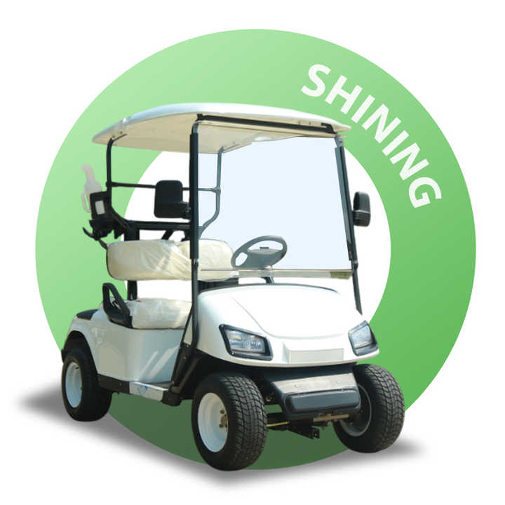 Shining Brand Cheap 2 Seate diesel Golf Cart for Sale Buddy| Alibaba.com
