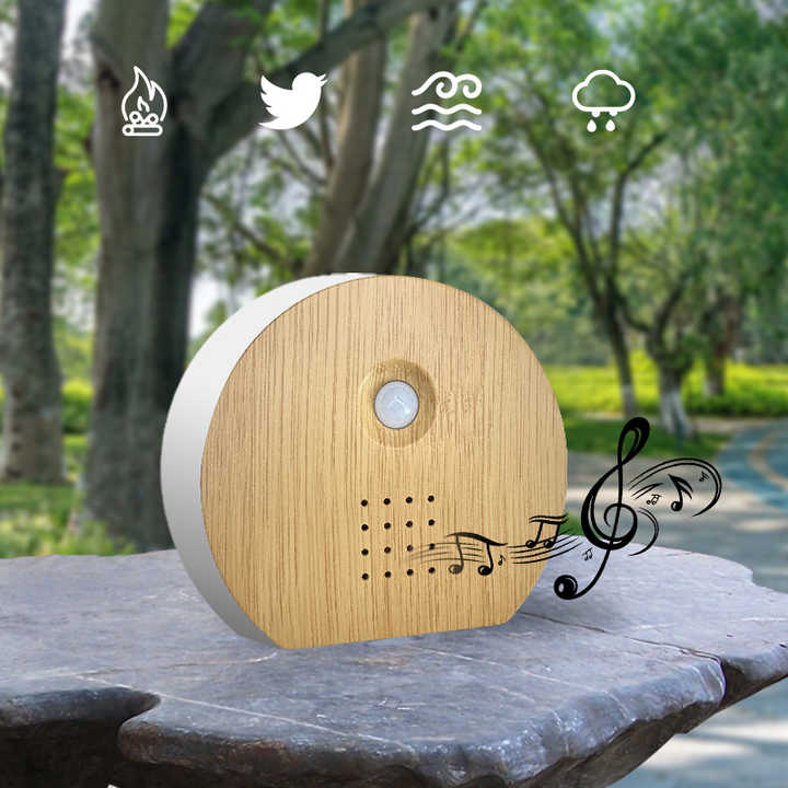 Custom PIR Motion Sensor Activated Voice Player - Relaxing Bird ...