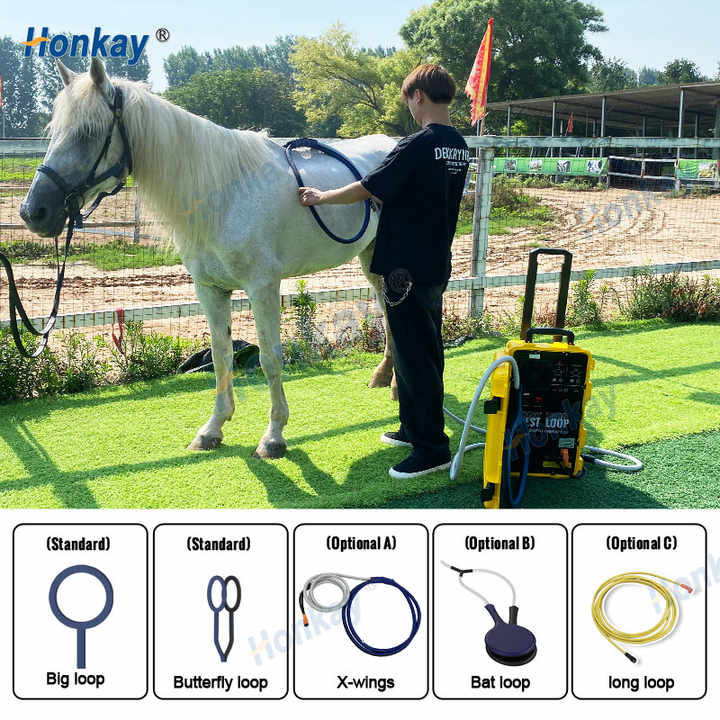 PEMF LOOP Pulse Electromagnetic Field Therapy Safe and Effective ...