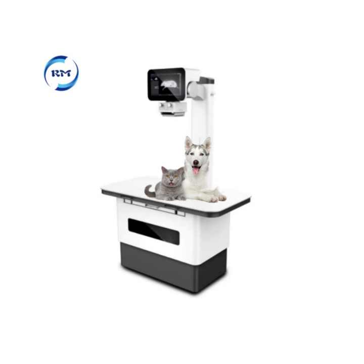 Medical High Frequency X-ray Radiography System Veterinary X Ray ...
