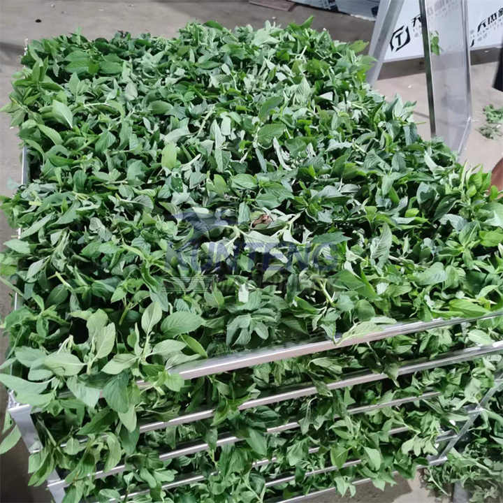 Stevia Drying Machine - Efficient Agricultural Solutions