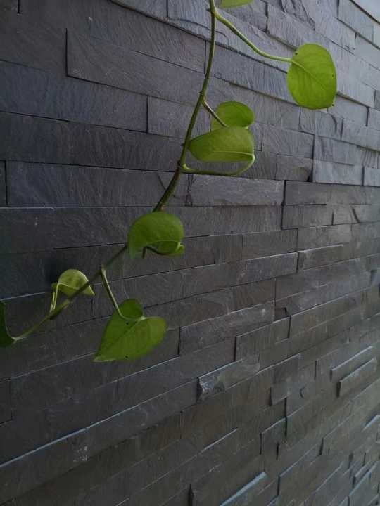 High Grade Carbon Slate Wall Panels for Building Material