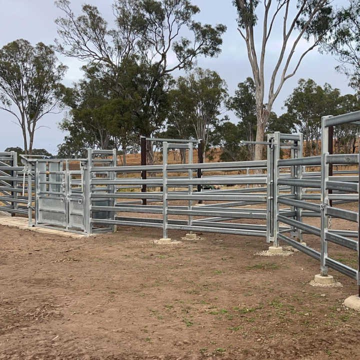 250-300 Head Cattle Yard Plans / 400 Head Steel Cattle Yard with ...