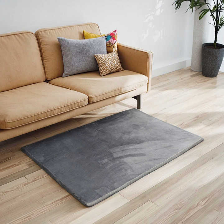 Custom Detachable Crystal Velvet Floor Mat with Thick Foam Filling ...