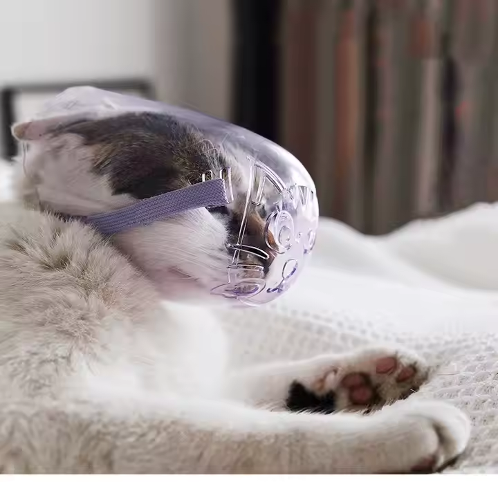 Anti-eating Anti-meowing Anti-biting Veterinary Plastic Cat Air Muzzle ...