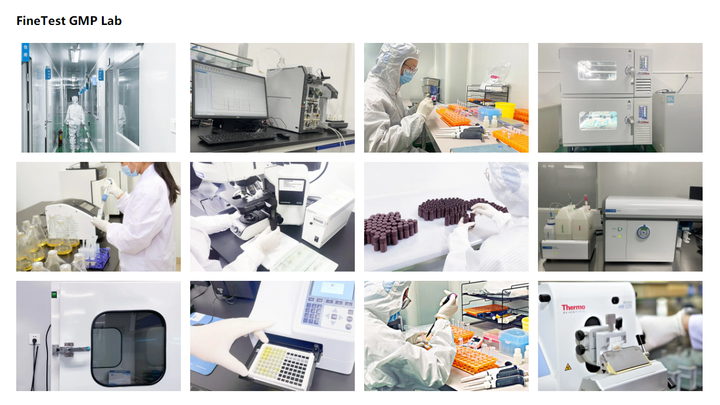 FineTest Custom Chemical Services Human MPO ELISA Kit Scientific ...