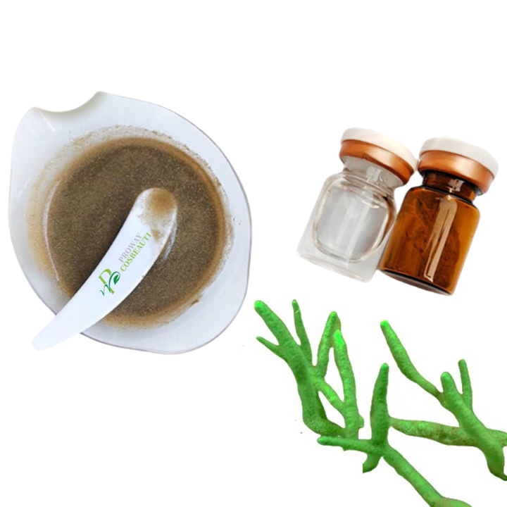 Natural Algae Peeling Powder Bio Spicule Powder Seaweed Peel Acne ...