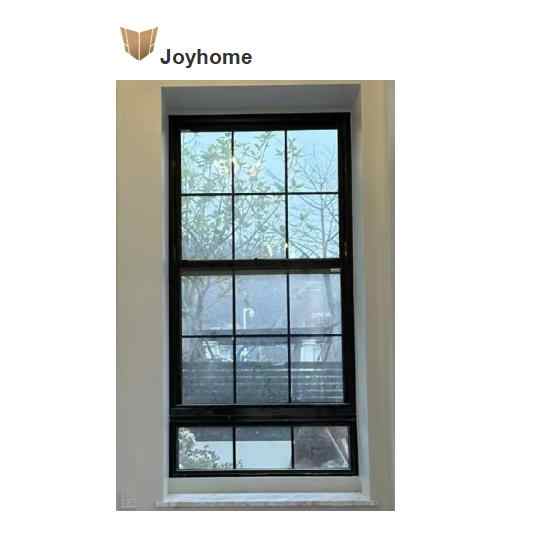 Hot Sale Single Hung Window Sliding Vertical Modern Egress Black ...