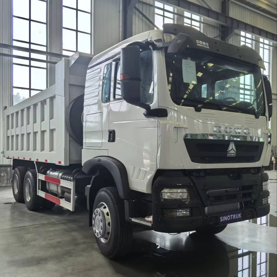 Sinotruck Howo 371 6x4 Diesel Dump Truck 10 Wheeler 30ton Dumper with ...