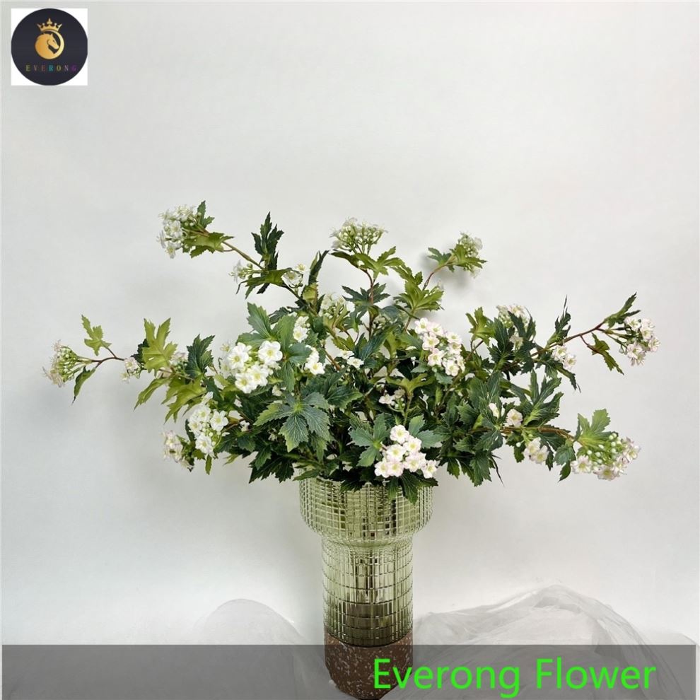 Bunga Centaurea - Bunga Jagung Biru Kering yang Ditekan untuk DIY