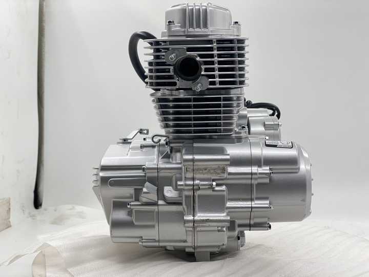 DAYANG 200cc Engine for Three Wheel Motorcycle/cargo Tricycle