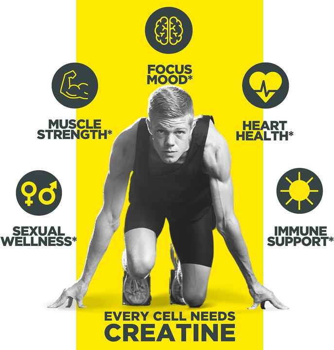 OEM Private Label Creatine Hydrochloride Capsules for Healthy Muscle ...