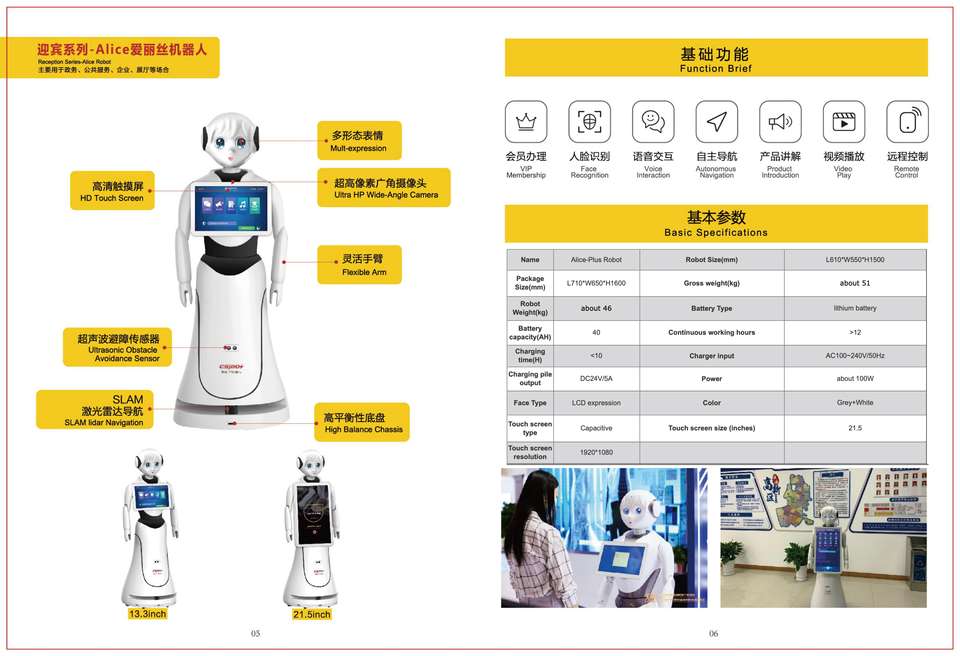 CSJBOT/Alpha Robot Alice OEM Factory Human-Speak Automatic Laser ...