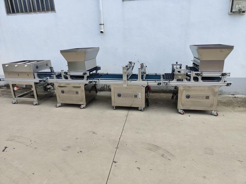 Automatic Seeds Sowing Machine for Seedling Plug Tray Seeder