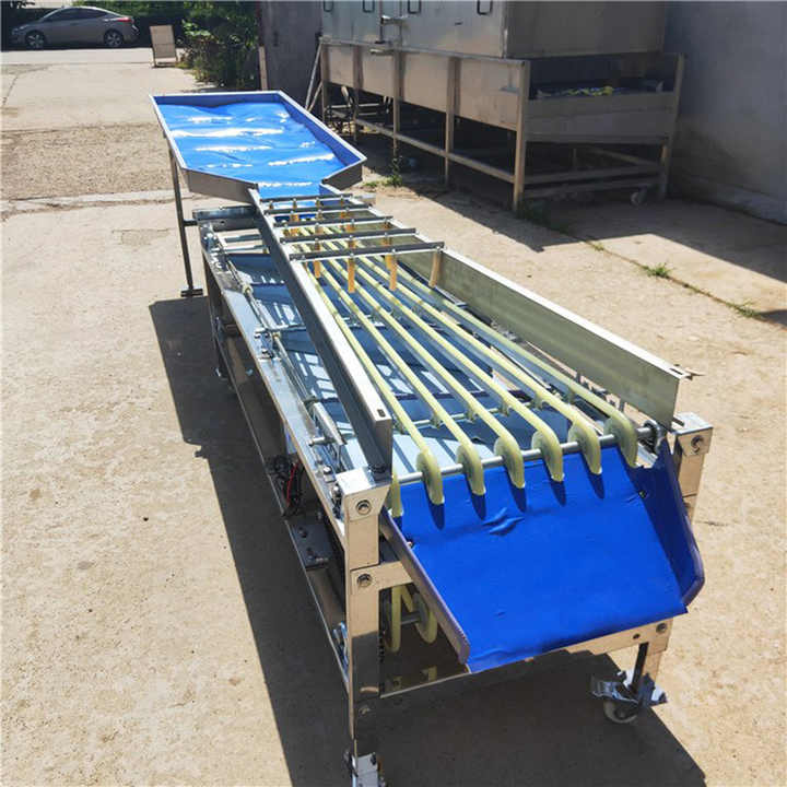 Adjustable Grading Fruit Sorter Machine for Apple Mandarin Orange & Various Fruits Vegetable ...
