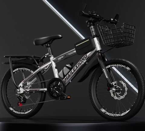 Primary Secondary School Students' 20-22-24 Inch Steel Mountain Racing ...