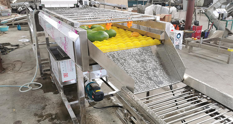 Automatic Dragon Fruit Cleaning Drying Line Grading Machine| Alibaba.com