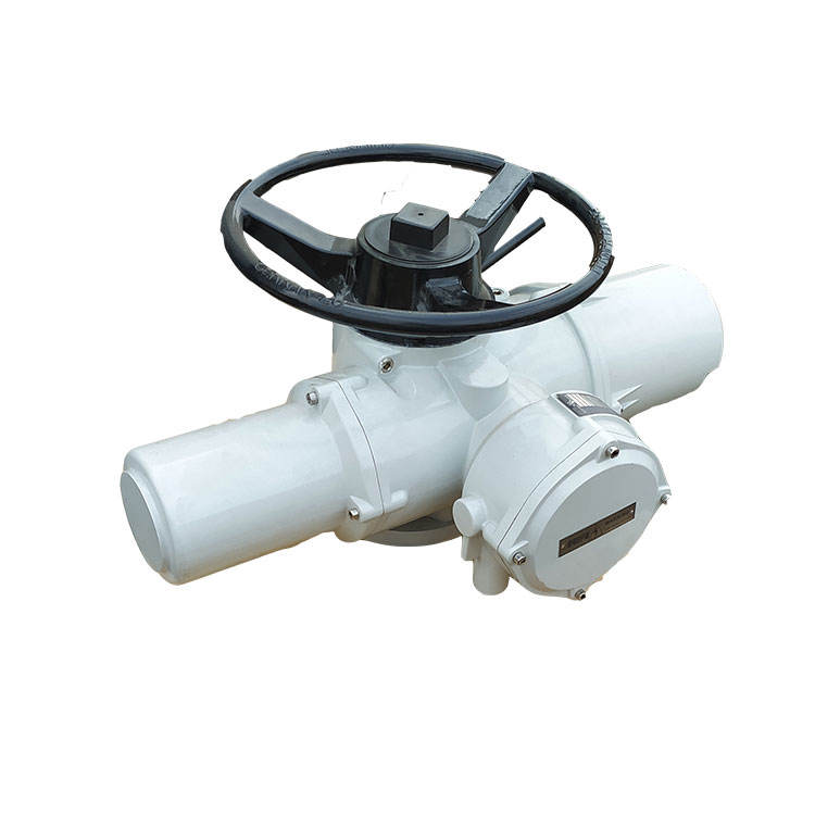 IQ20 ROTORK Ball Valve Electric Device for Water Treatment with IP68 ...
