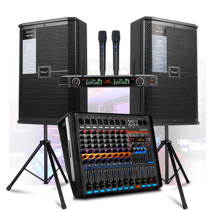 Biner D812 Professional Single 12 Inch Sound System Speaker For Ktv ...