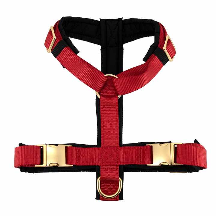 Custom Dog Y Shape Harness Set No Pull Pet Collars Leashes Harnesses ...