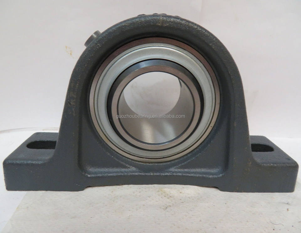 Cast Iron Housing Plummer Block Housing Units RASE50-N RASE50-XL-N ...