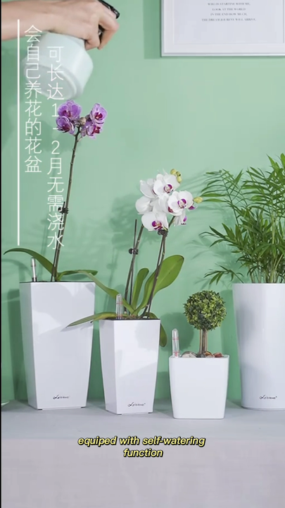 Leizisure Office Table Plastic Mini Plant Pot - Self Watering