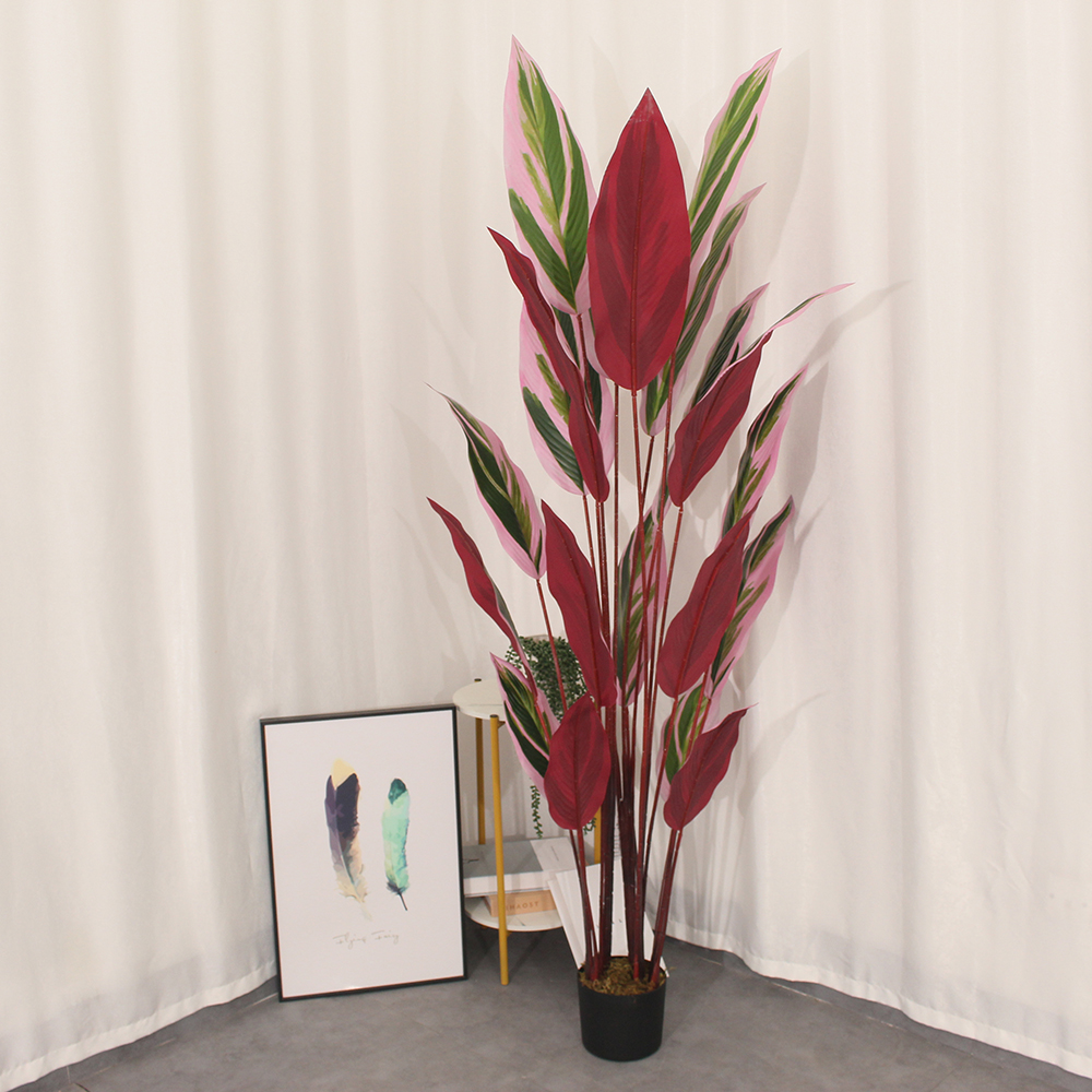 How to Choose the Best Red Bird Trees for Your Garden or Decor