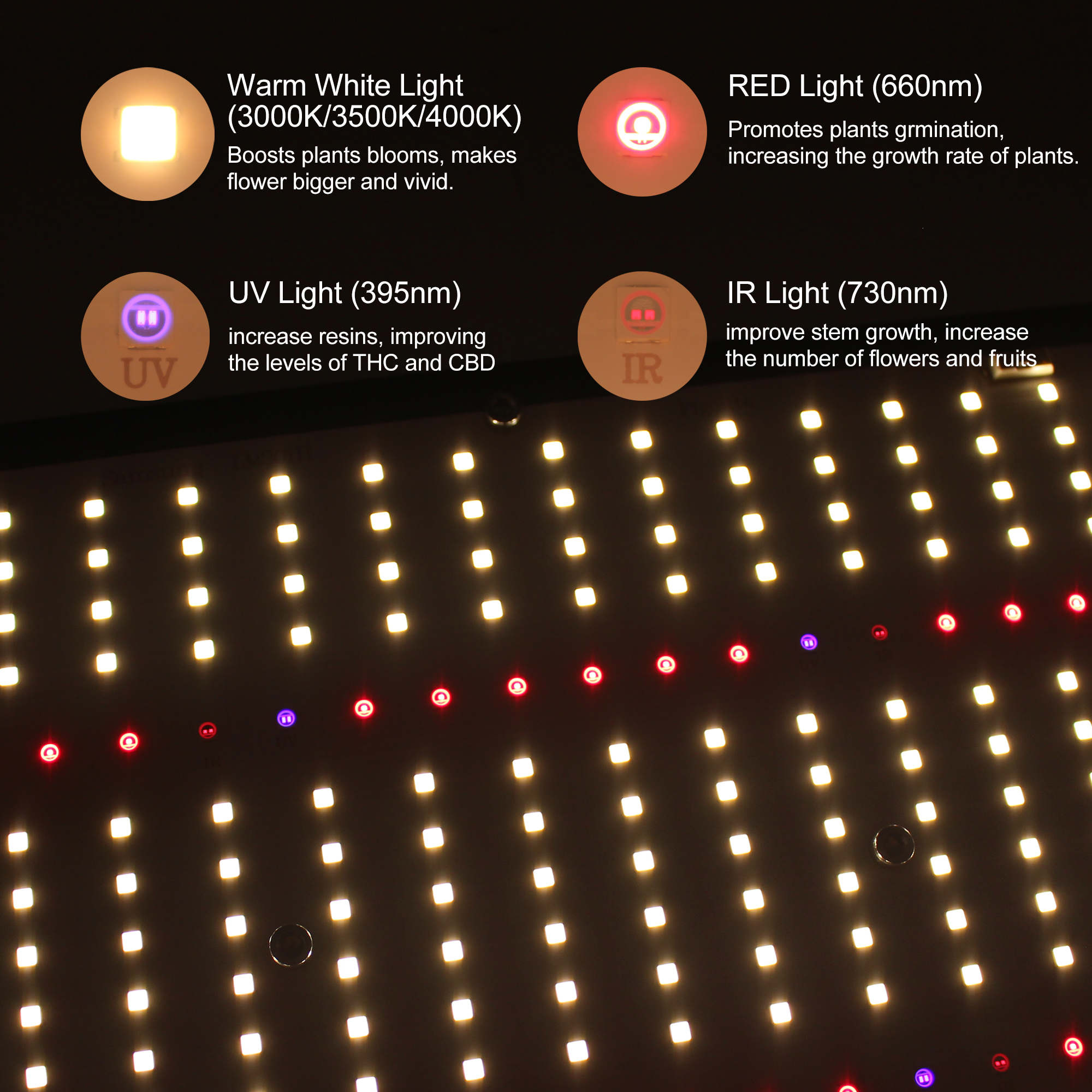 Stock in Brazil! 0 Shipping 0 Tax! Figolite 120W 240W LED Grow Light ...