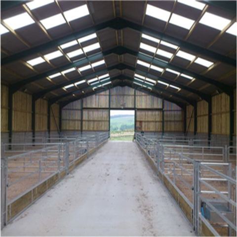 Prefab Metal Frame Steel Structure Design Cattle Shed Dairy Barn Farm ...