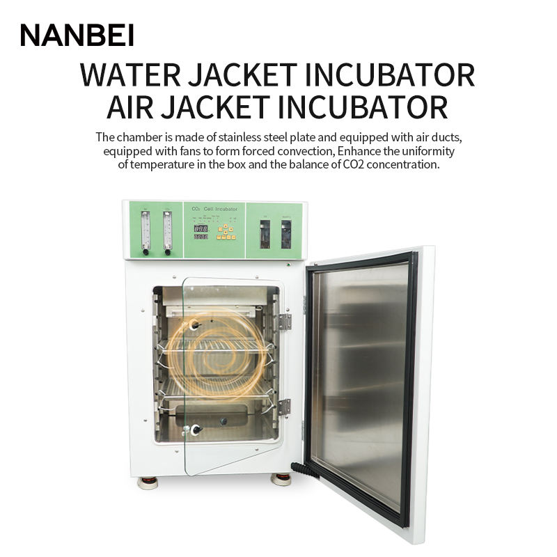 80L Bacteriology CO2 Stem Cell Incubator - Microbiology Lab Equipment