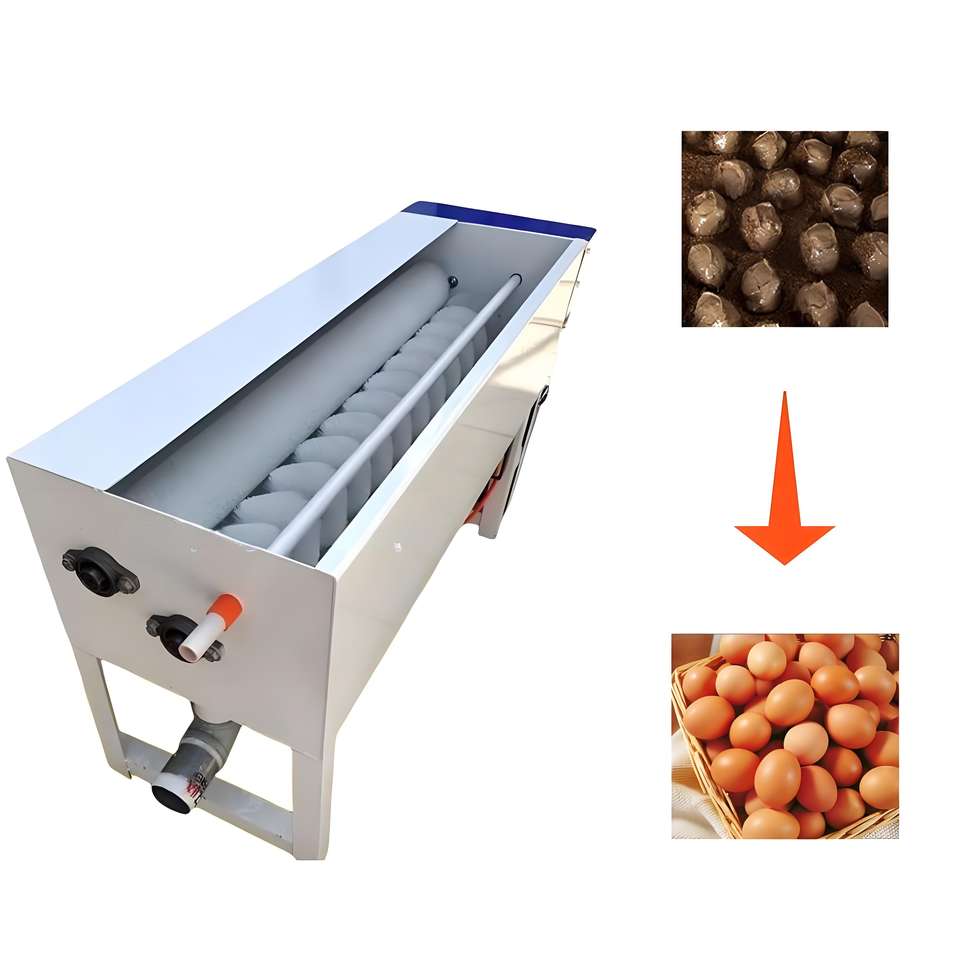 Good Price Chicken Egg Cleaning Machine Egg Cleaning Machine Roller Egg ...