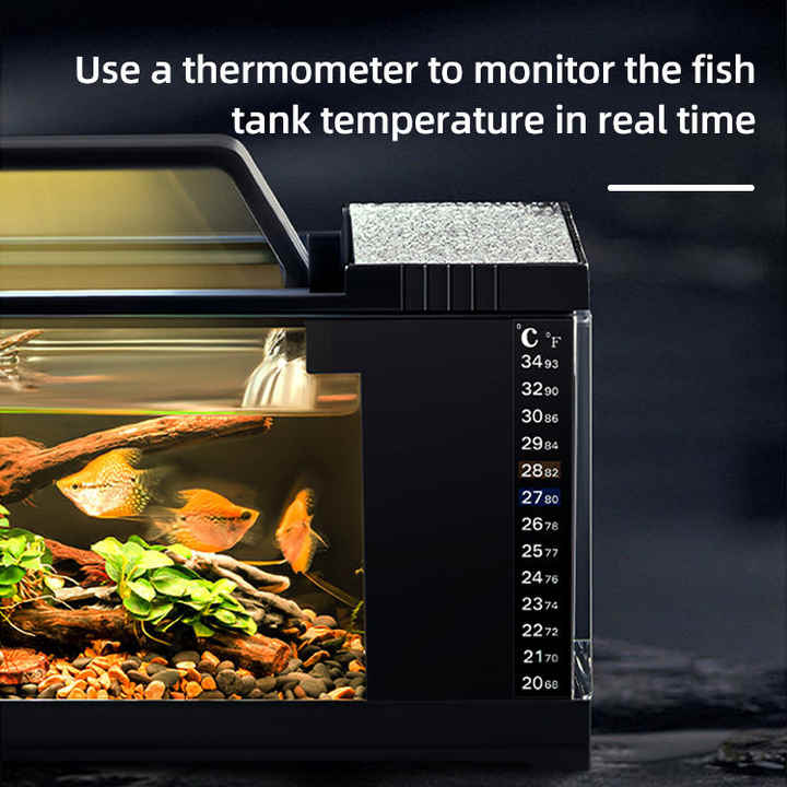 Zmaker 2025 Desktop Fish Tank - Perfect for Tropical Fish
