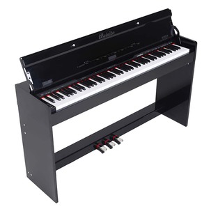 Types of Keyboard Instruments | Digital Pianos, Organs & Synthesizers