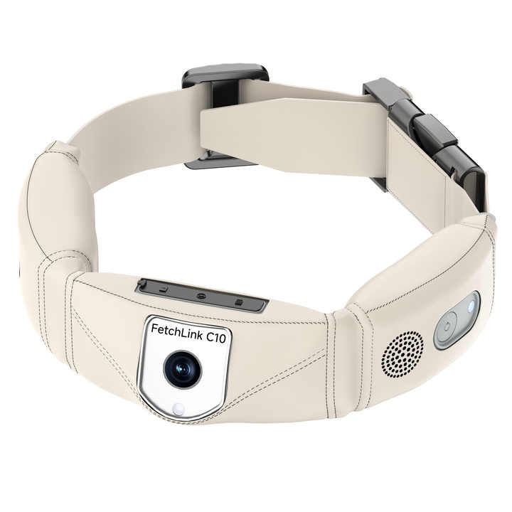 Smart 4G GPS Pet Collar Camera with AI POV 4K Live View Health ...