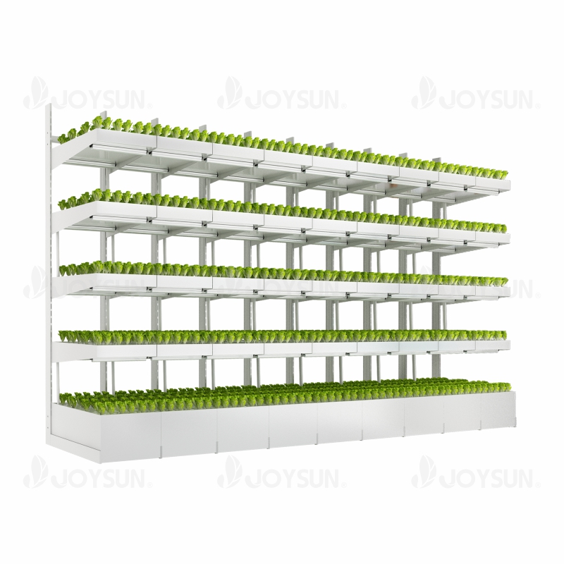 How to Choose the Best Plant Grow Shelf: A Complete Buying Guide