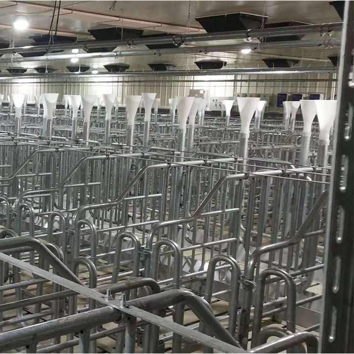 Steel Frame Pig Farm Structures - Durable & Efficient