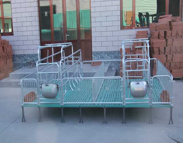 Philippines Pig Farrowing Pen - Durable & Safe Design