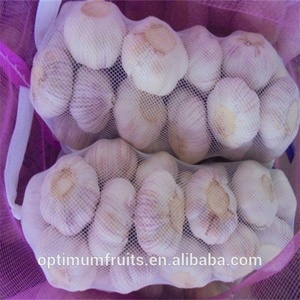 Fresh Garlic Price - High Quality White Organic Bulk