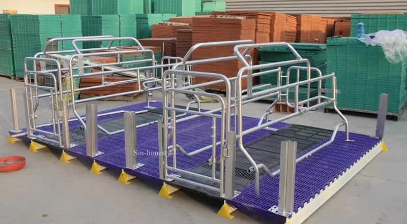 2025 Pig Cages - Durable Galvanized Farrowing Crates