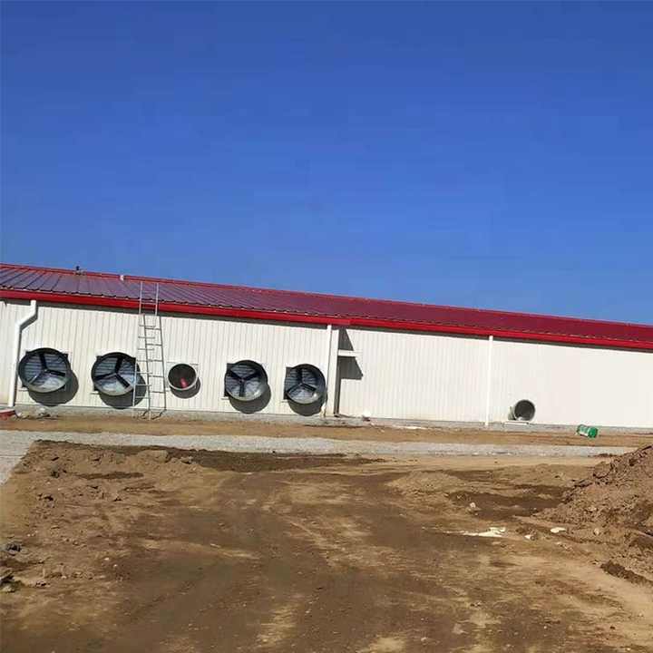 Steel Frame Pig Farm Structures - Durable & Efficient
