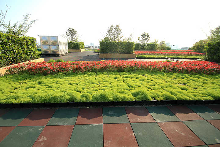 Modular Rooftop Green Roof - Self Watering Vertical Garden